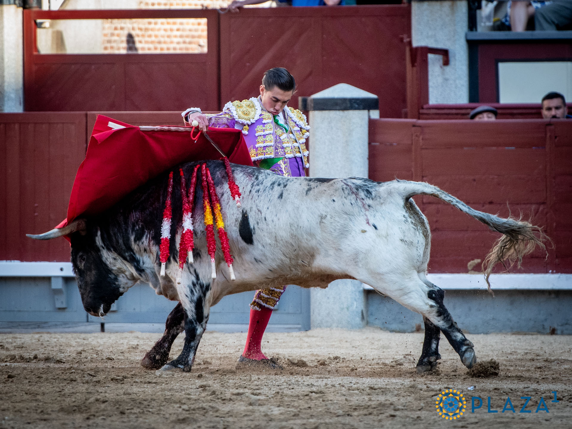 Madrid : vuelta pour Bruno Aloi lors de sa présentation - Mundillo Taurino