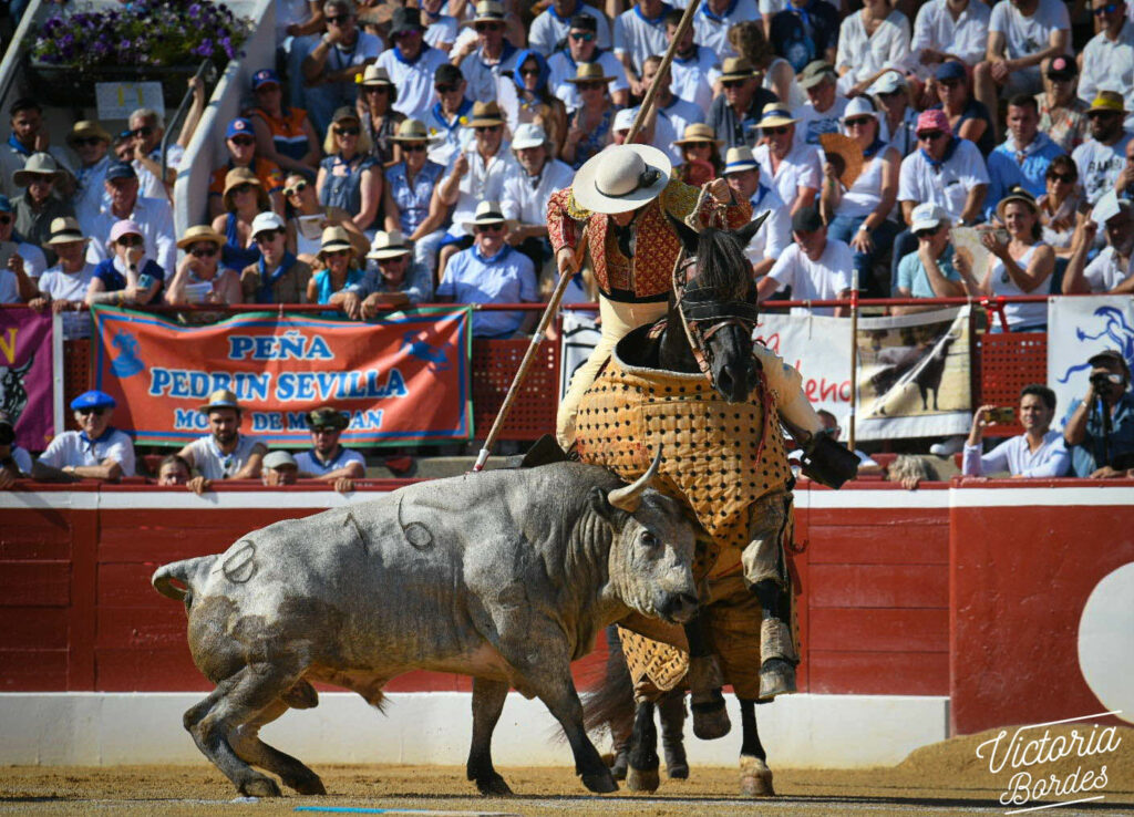 Mont de Marsan - Peña A LOS TOROS : Report de la conférence avec ...