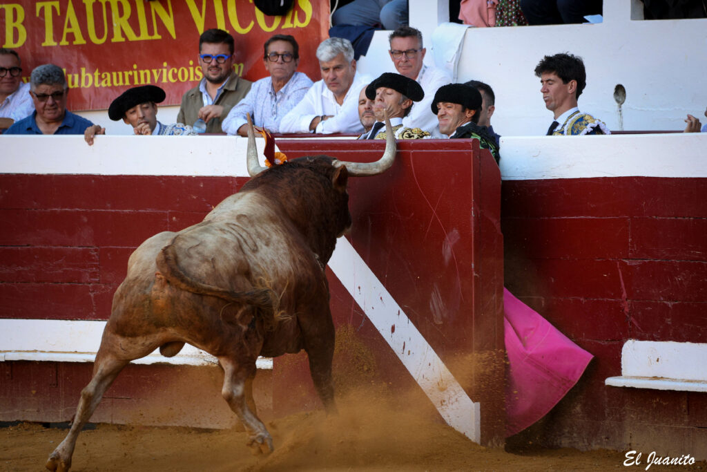 Féria de l'Aficionado 2025 : Damian Castaño va affronter six toros de ...